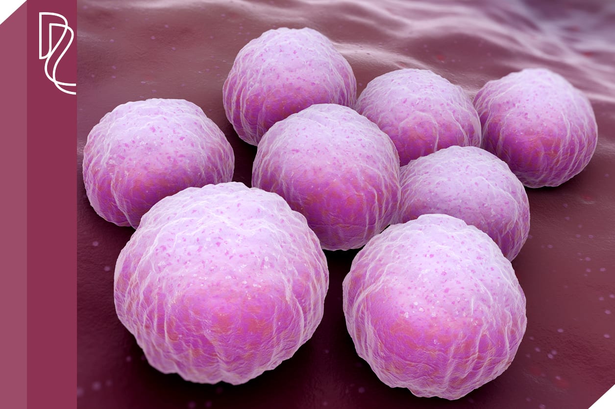 Infecção por clamídia | Dra. Rosane Rodrigues | Especialista em ...